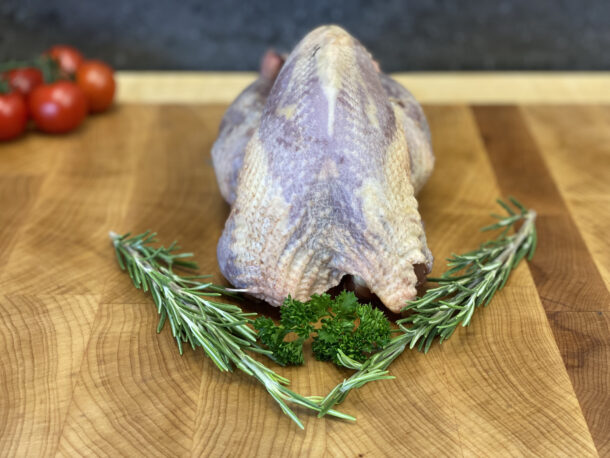 Pheasant (whole) – Harveys Butchers